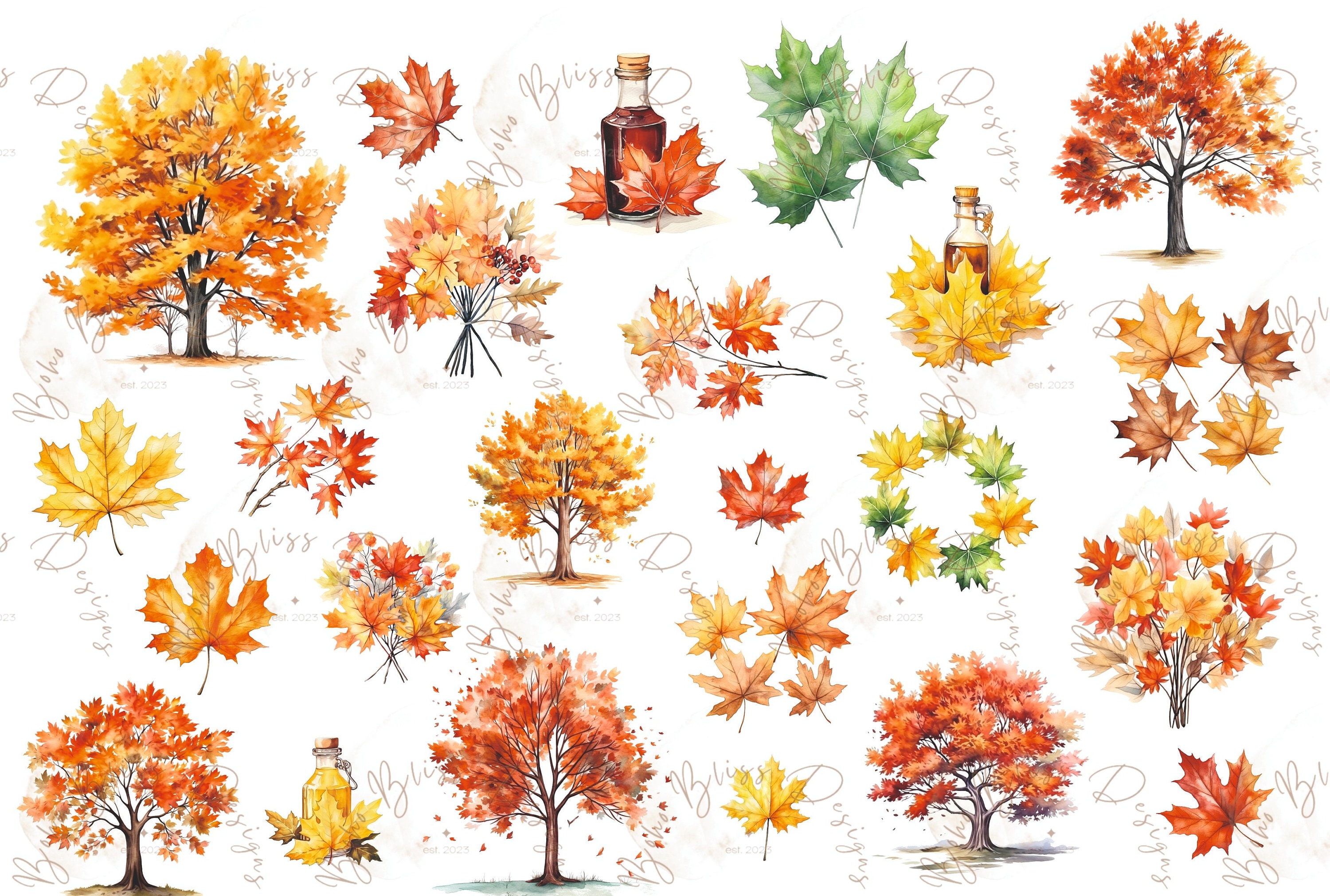 Watercolor Maple Clipart Maple Leaves Fall Png Fall - Etsy