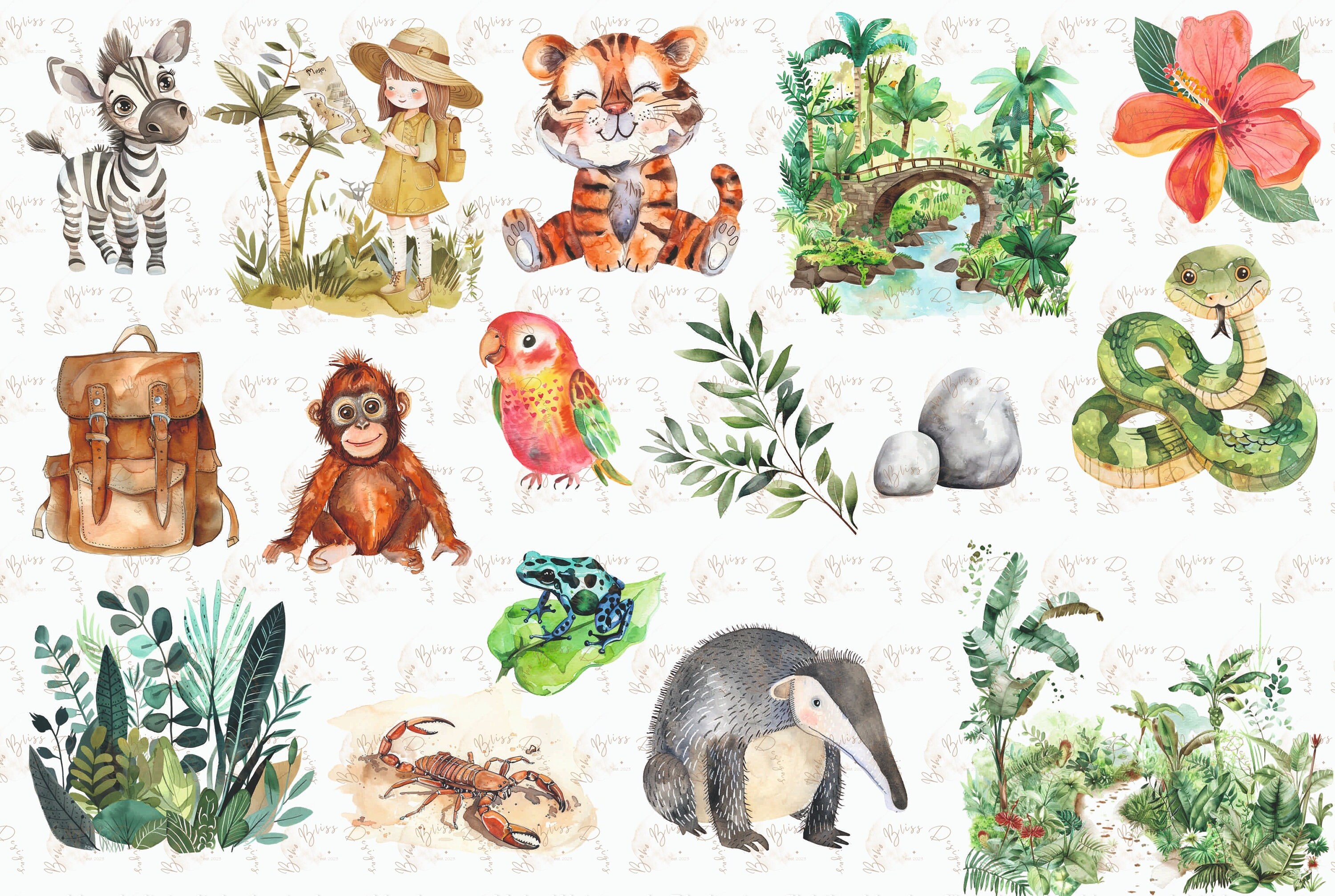Cute Jungle Animals Clipart, Safari Baby Animal PNG, Watercolor Animal ...