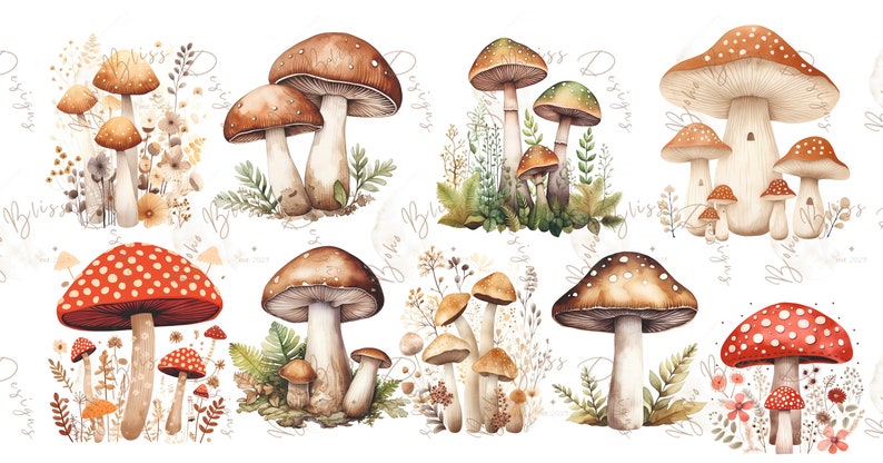 Mushroom Clipart, Watercolor Mushrooms Clipart, Cute Forest Nature ...