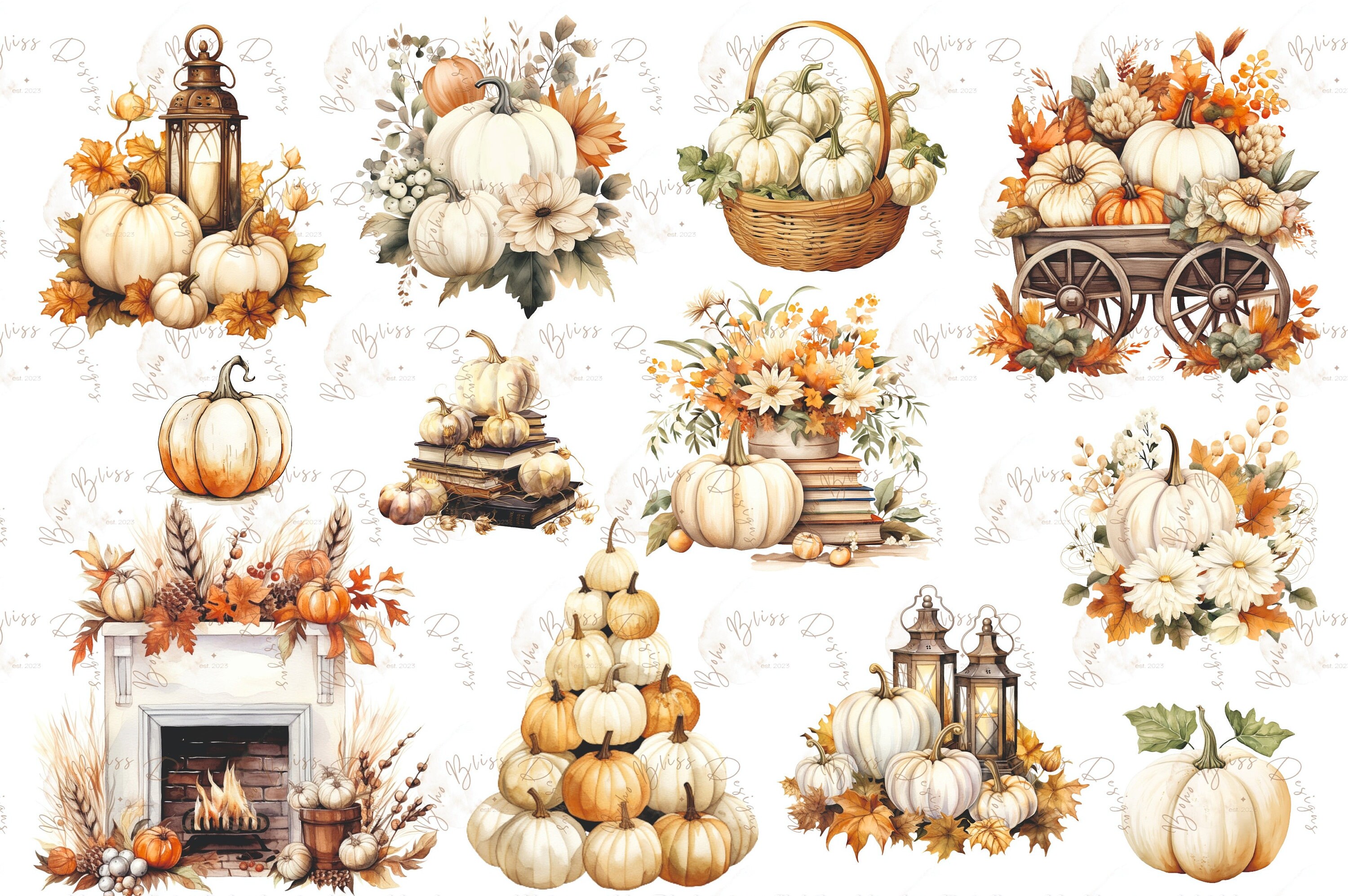White Pumpkin Clipart Garden Clipart Boho Fall Clipart - Etsy