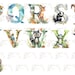 Watercolor Alphabet Clipart Letters Download Watercolor Letters ABC ...