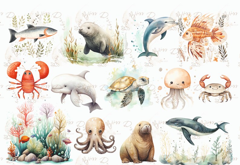 Ocean Clipart, Under the Sea Clipart, Sea Animals Watercolor Clipart ...
