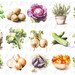 Watercolor Vegetables Clipart, Healthy Food Download, Food Clipart ...