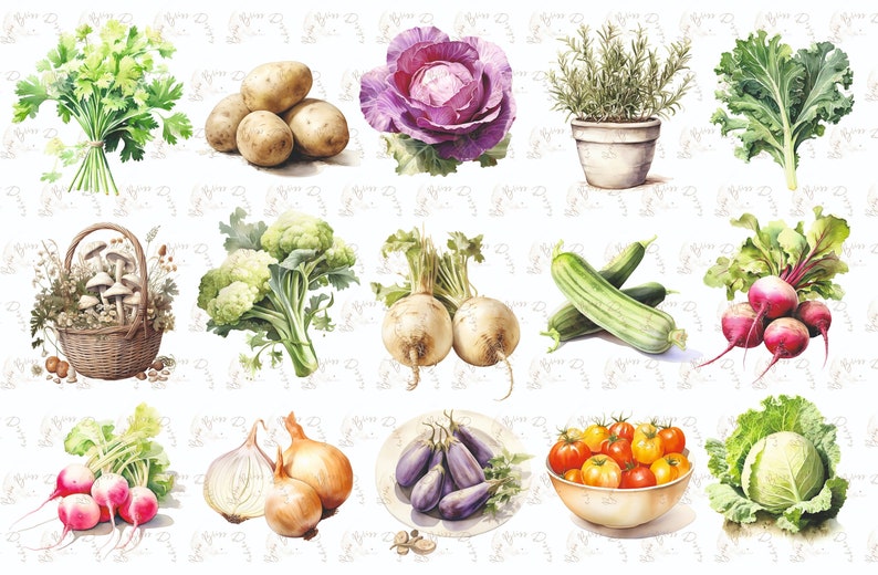 Watercolor Vegetables Clipart, Healthy Food Download, Food Clipart ...