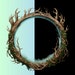 Druid Token Border Frame Dnd | Digital Token for Dnd, Foundry VTT ...