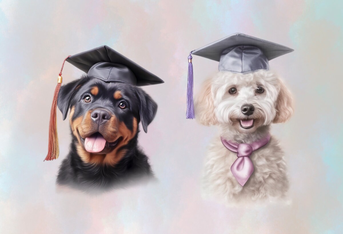 Graduation Dog PNG Clipart, Sublimation Designs, Dog Graduation Clipart ...