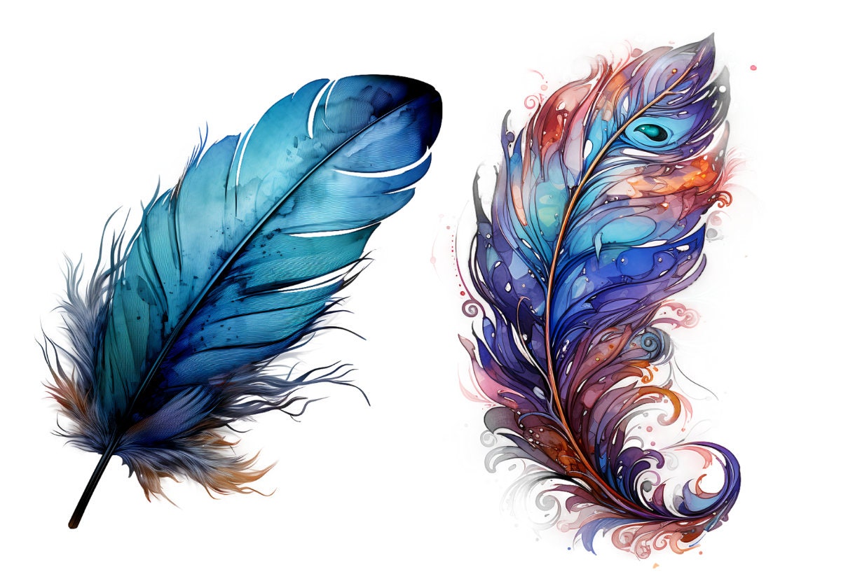 Birds Feathers Clipart,colorful Feathers,feather PNG Clipart ...