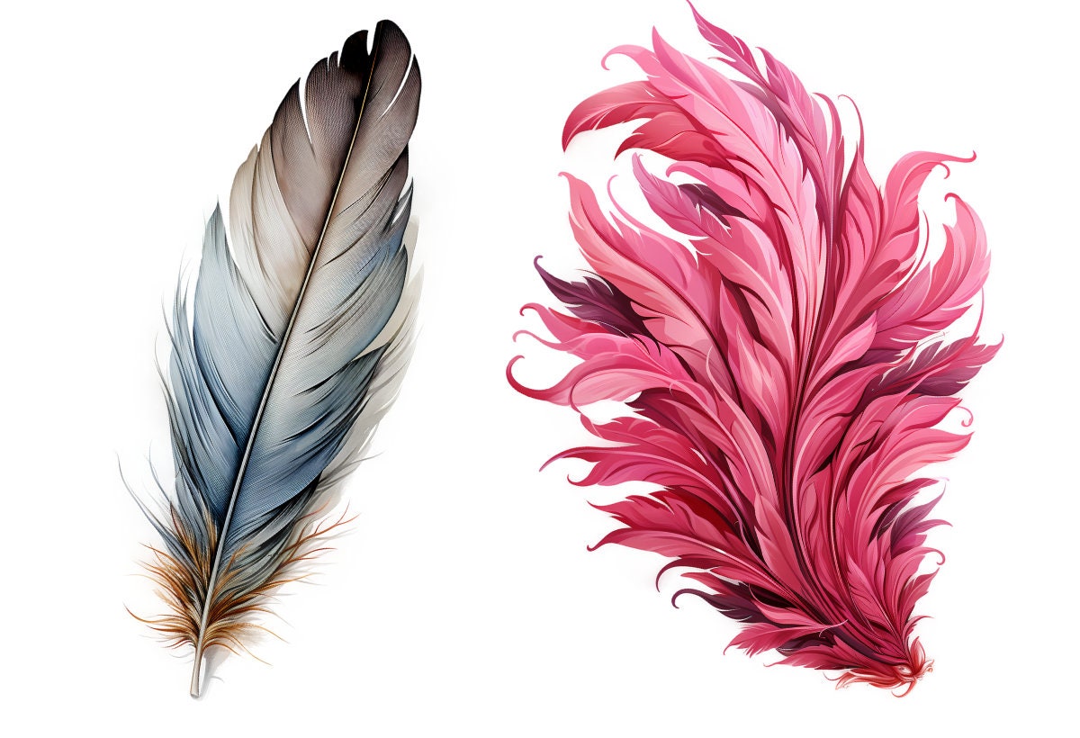 Birds Feathers Clipart,colorful Feathers,feather PNG Clipart ...
