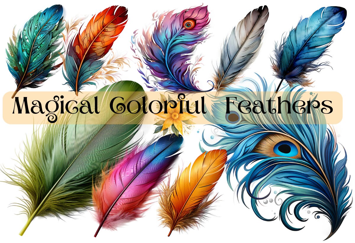 Birds Feathers Clipart,colorful Feathers,feather PNG Clipart ...