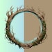 Druid Token Border Frame Dnd | Digital Token for Dnd, Foundry VTT ...