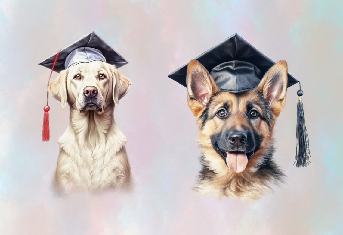 Graduation Dog PNG Clipart, Sublimation Designs, Dog Graduation Clipart ...