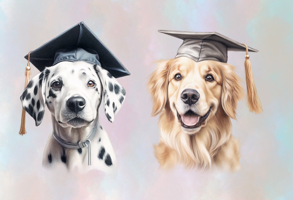Graduation Dog PNG Clipart, Sublimation Designs, Dog Graduation Clipart ...