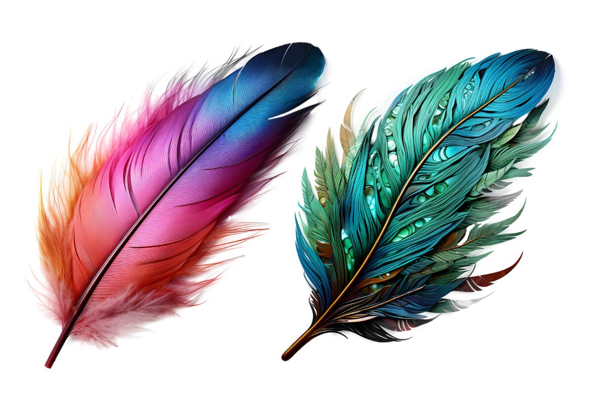 Birds Feathers Clipart,colorful Feathers,feather PNG Clipart ...