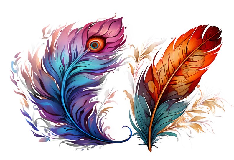 Birds Feathers Clipart,colorful Feathers,feather PNG Clipart ...