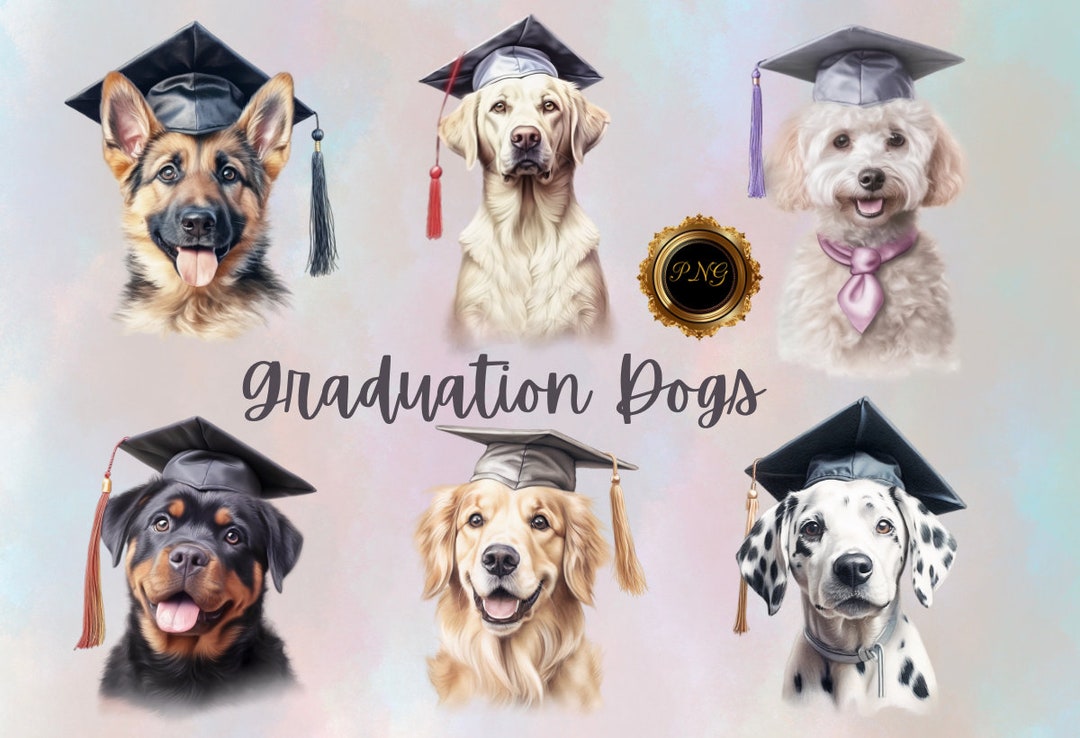 Graduation Dog PNG Clipart, Sublimation Designs, Dog Graduation Clipart ...