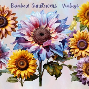 Rainbow Sunflowers Png Clipart, Sublimation, Sunflower Clipart, Rainbow ...
