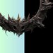 Dark Elf Token Border Frame Dnd | Digital Token for Dnd, Foundry VTT ...
