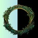 Druid Token Border Frame Dnd | Digital Token for Dnd, Foundry VTT ...