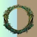 Druid Token Border Frame Dnd | Digital Token for Dnd, Foundry VTT ...