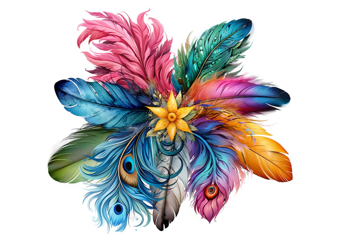 Birds Feathers Clipart,colorful Feathers,feather PNG Clipart ...