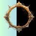 Wizard Token Border Frame Dnd | Digital Token for Dnd, Foundry VTT ...