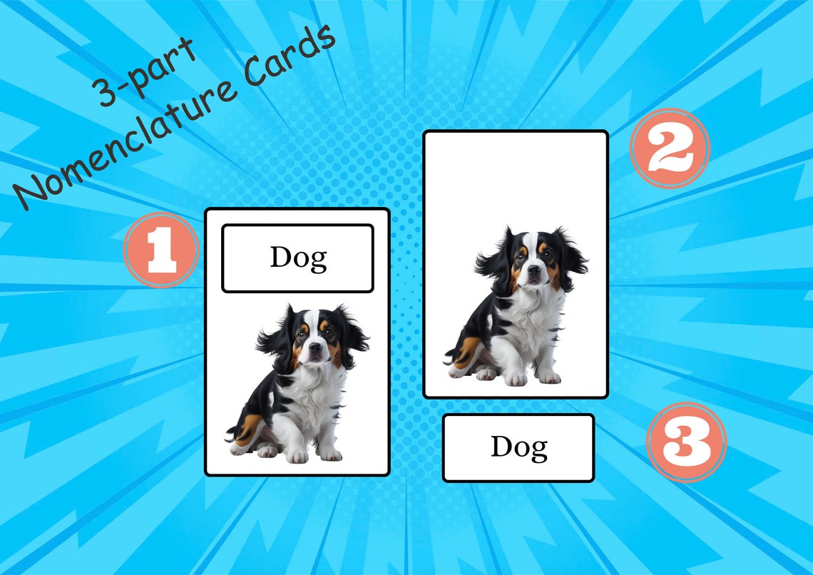 ALPHABET Animal Flashcards • 26 Montessori Cards • Downloadable Kids ...