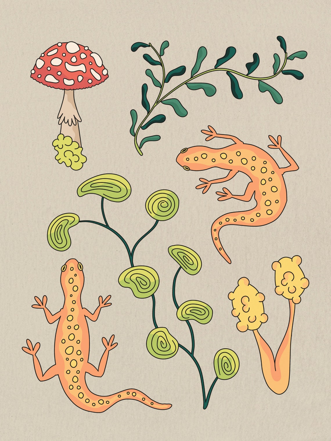 Woodland Doodle Art Tee, Newt Mushroom & Plants Illustration Tshirt ...