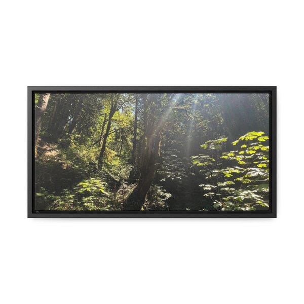 Fern Gully Art - Etsy