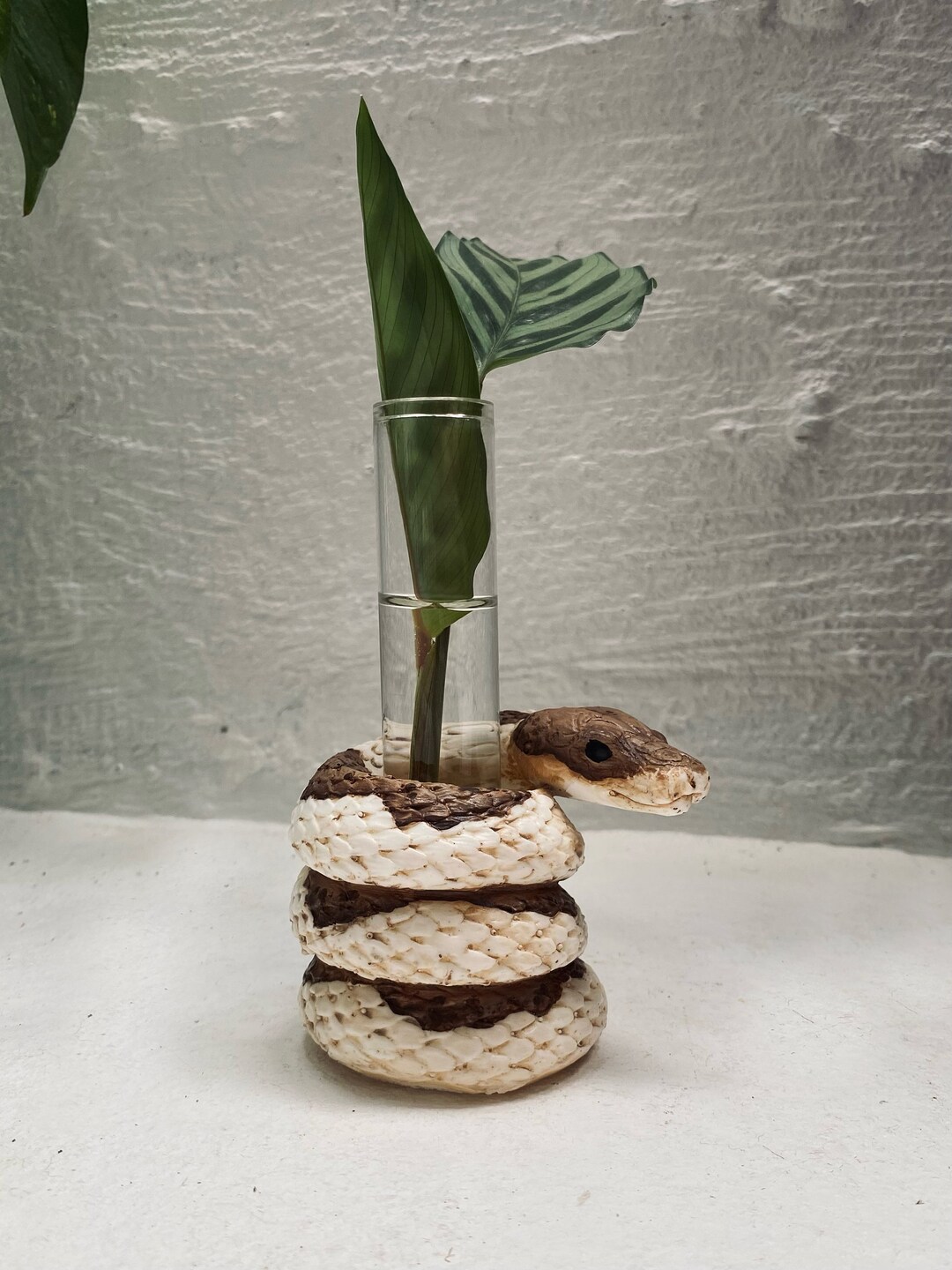 Handmade Ball Python Plant Propitiation Holder - Etsy