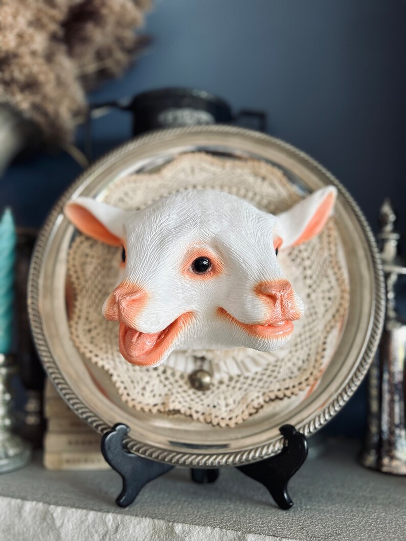 Two Headed Lamb taxidermy Wall Art Object Faux Taxidermy - Etsy