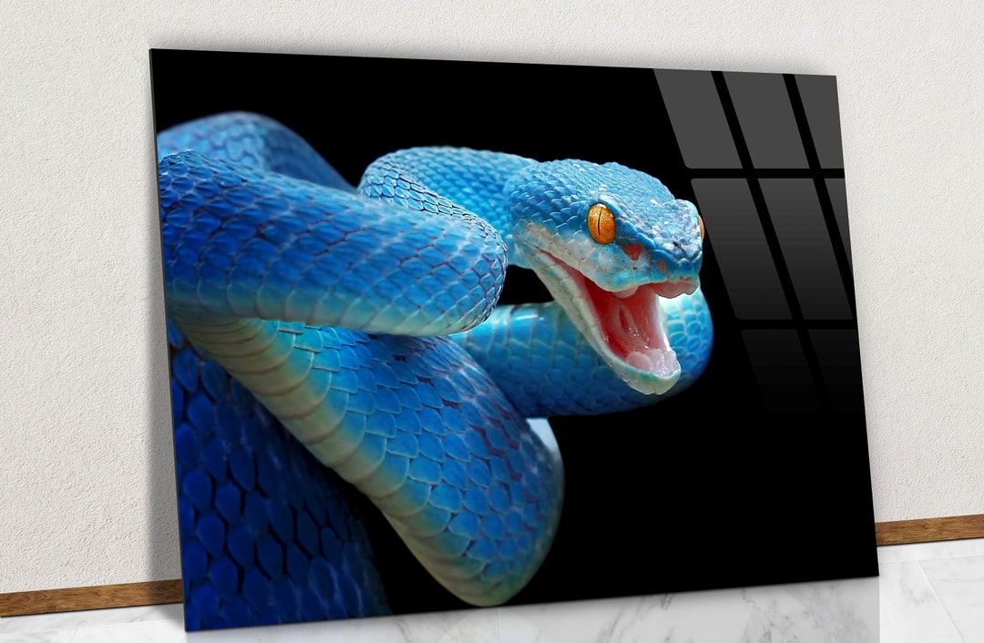 Blue Viper Snake Face Glass Wall Art, Viper Snake Glass Print ...