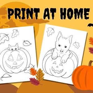 Printable Pets in Pumpkins Fall and Halloween Coloring Pages for ...