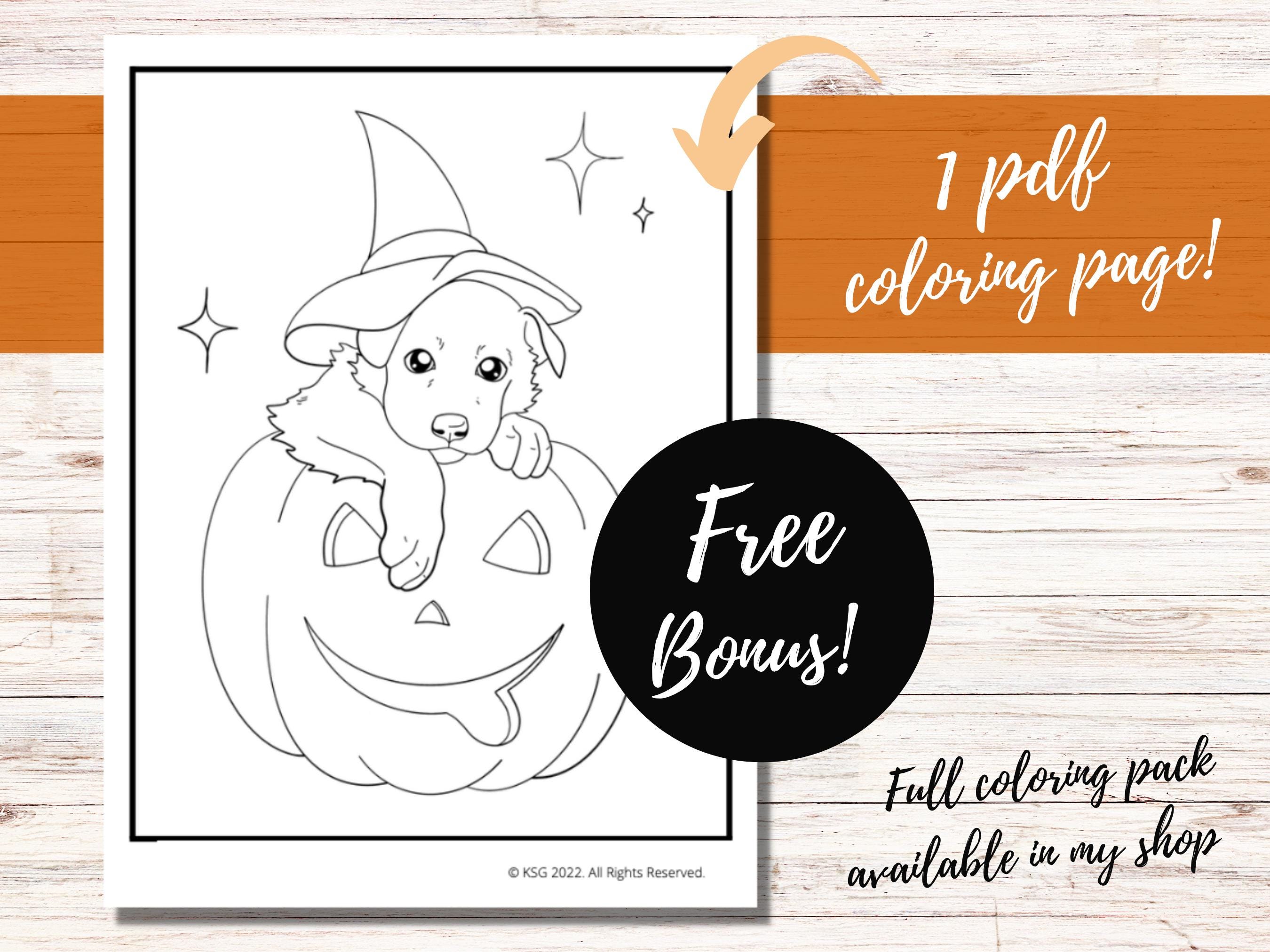 Orca Pumpkin Carving Stencil | 1 Unique Killer Whale Halloween Jack O ...