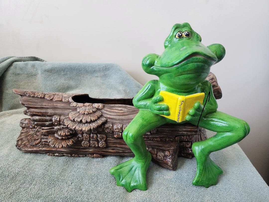 Froggy Planter With Removable Frog - Etsy