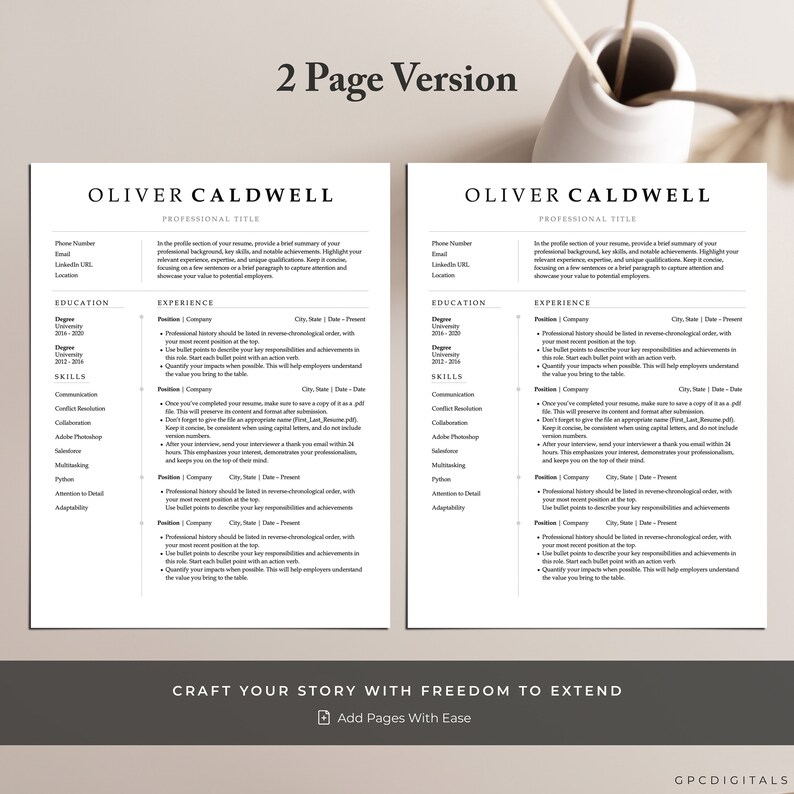 Executive Resume Template for Word Professional Resume CV Template ...