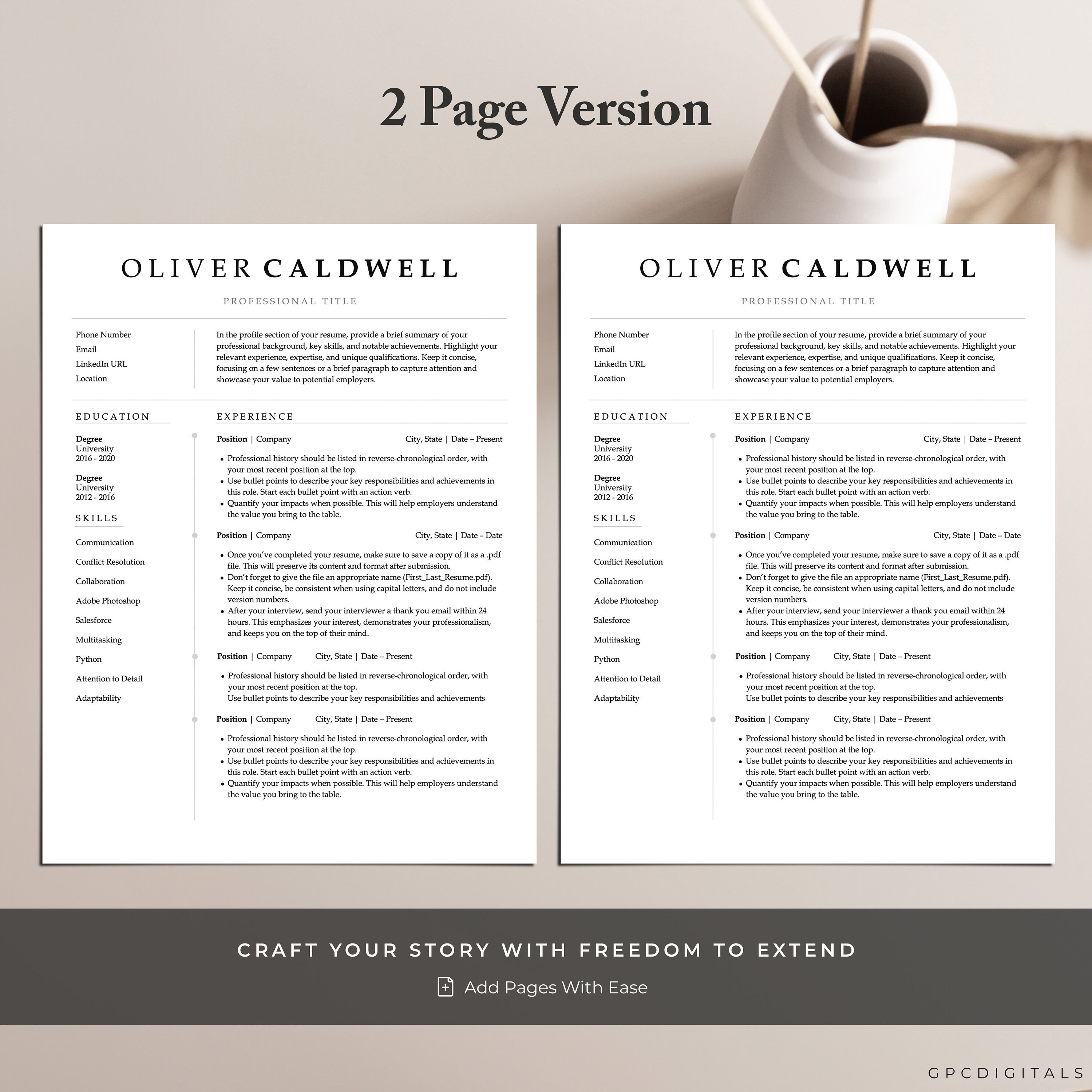 Executive Resume Template for Word Professional Resume CV Template ...