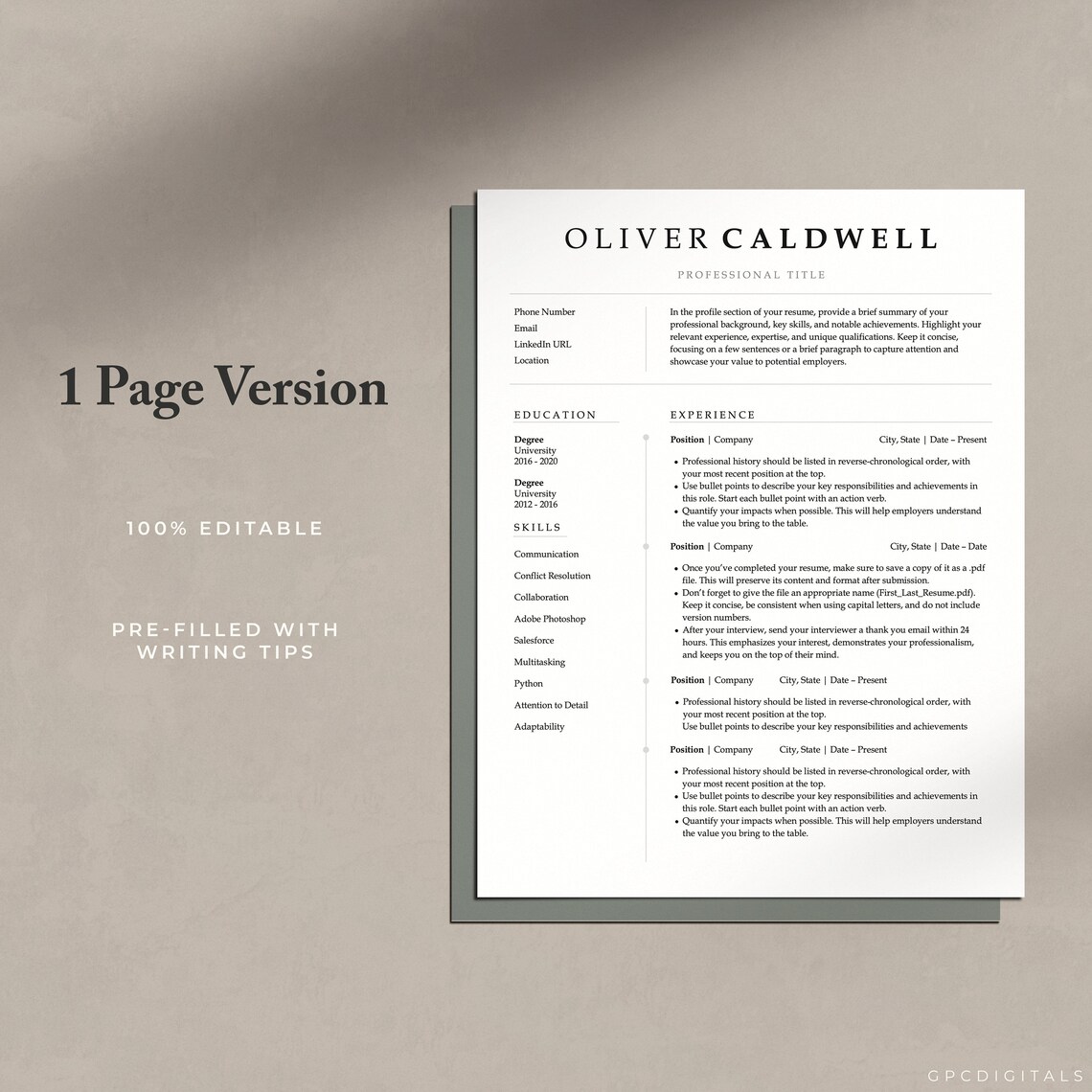 Executive Resume Template for Word Professional Resume CV Template ...