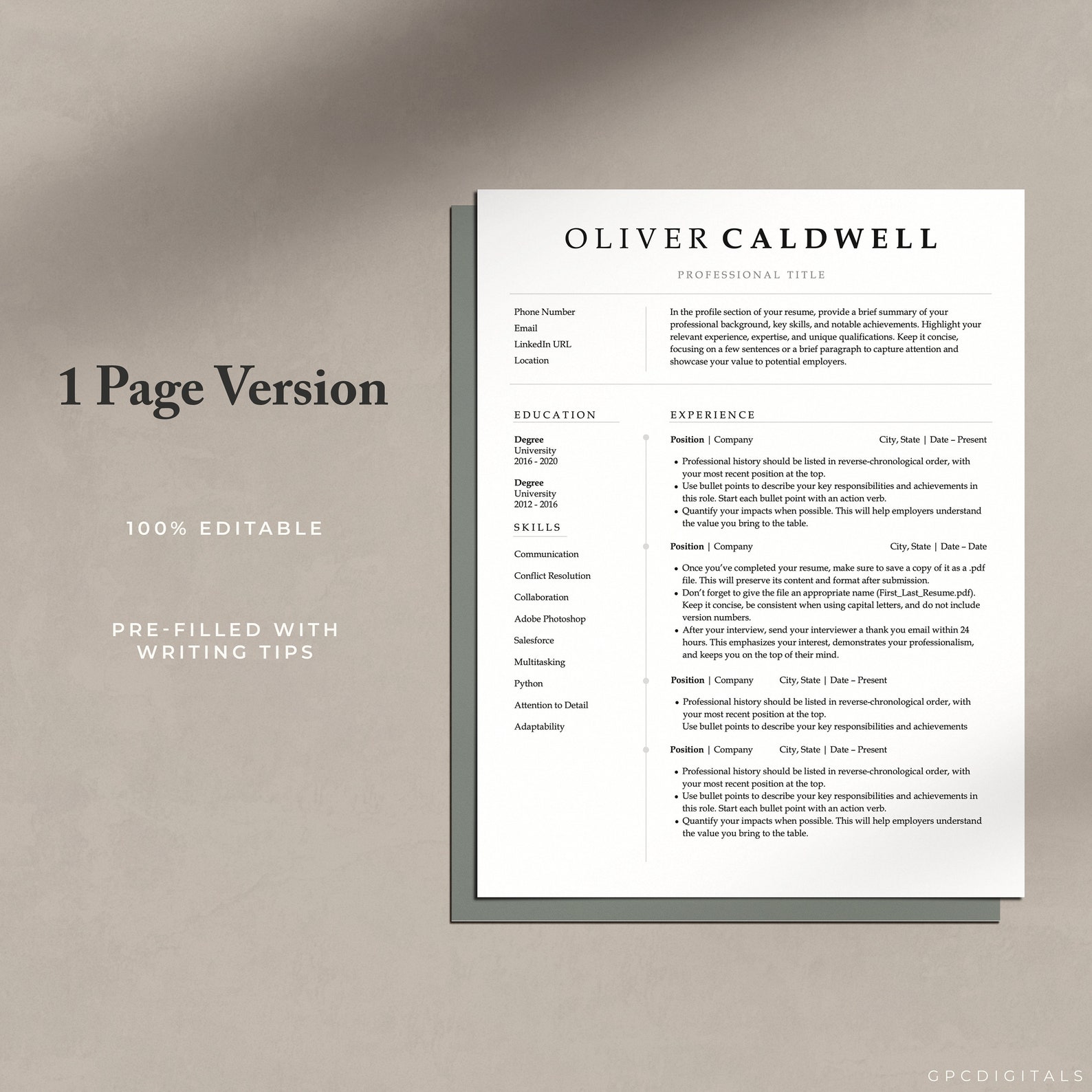 Executive Resume Template for Word Professional Resume CV Template ...