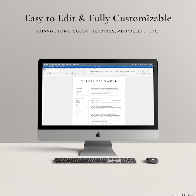 Executive Resume Template for Word Professional Resume CV Template ...
