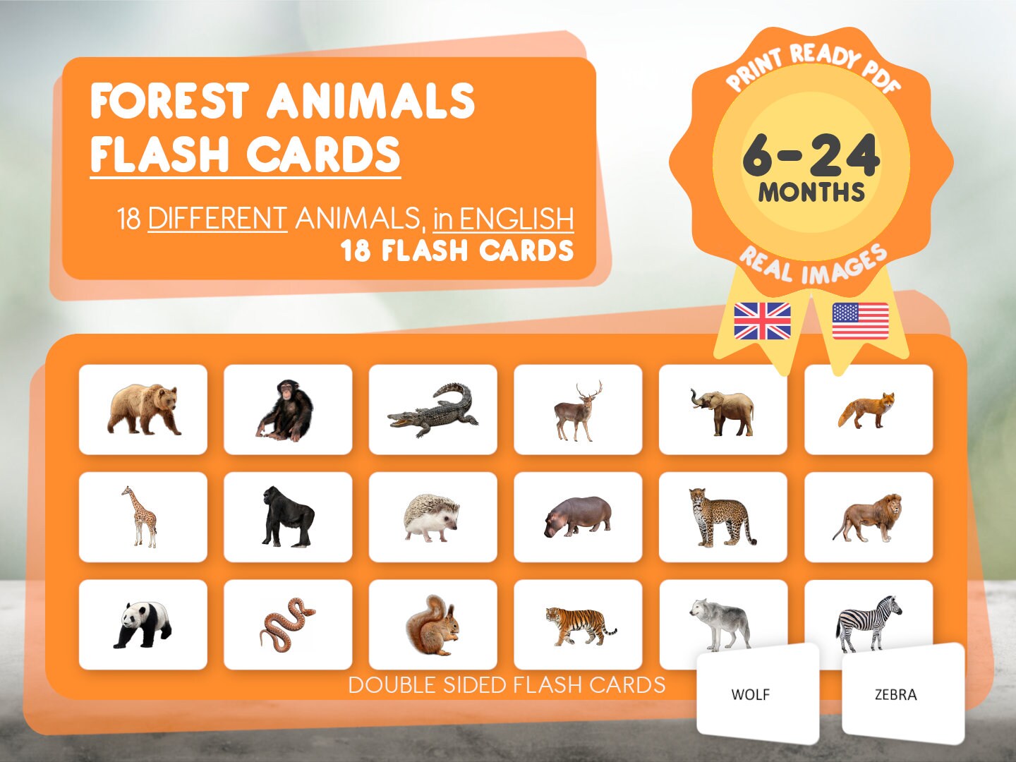 FOREST ANIMALS Printable Flash Cards Glenn Doman Double - Etsy