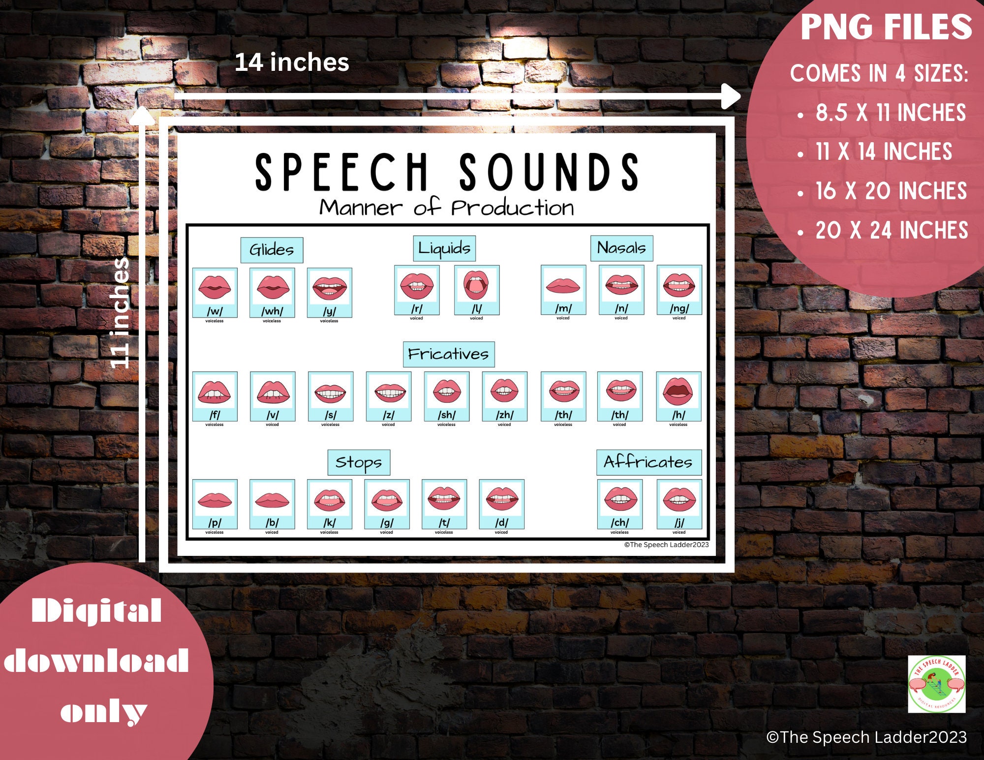 Large Speech Sounds Chart Speech Therapy Poster Articulation - Etsy UK