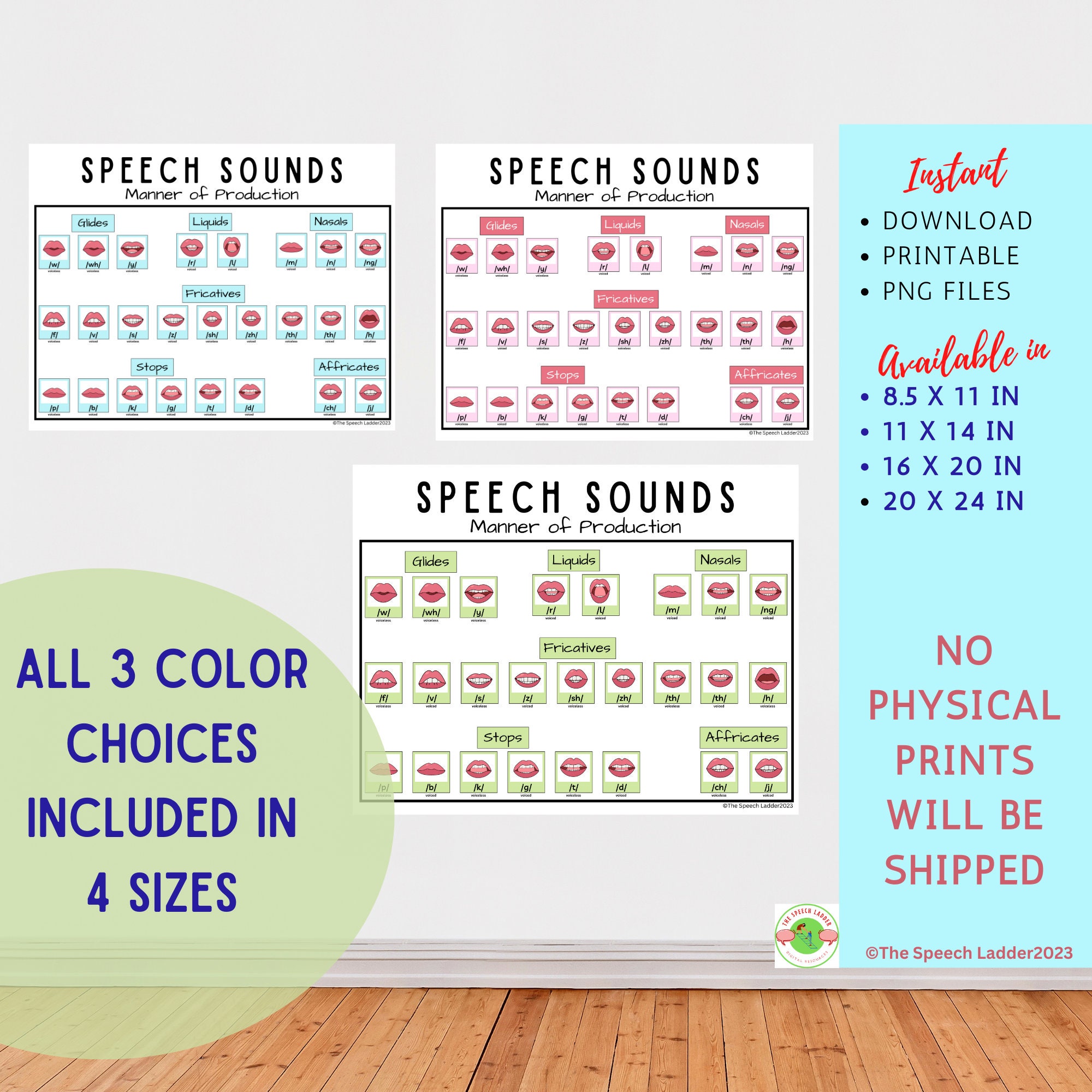Large Speech Sounds Chart, Speech Therapy Poster, Articulation Resource ...