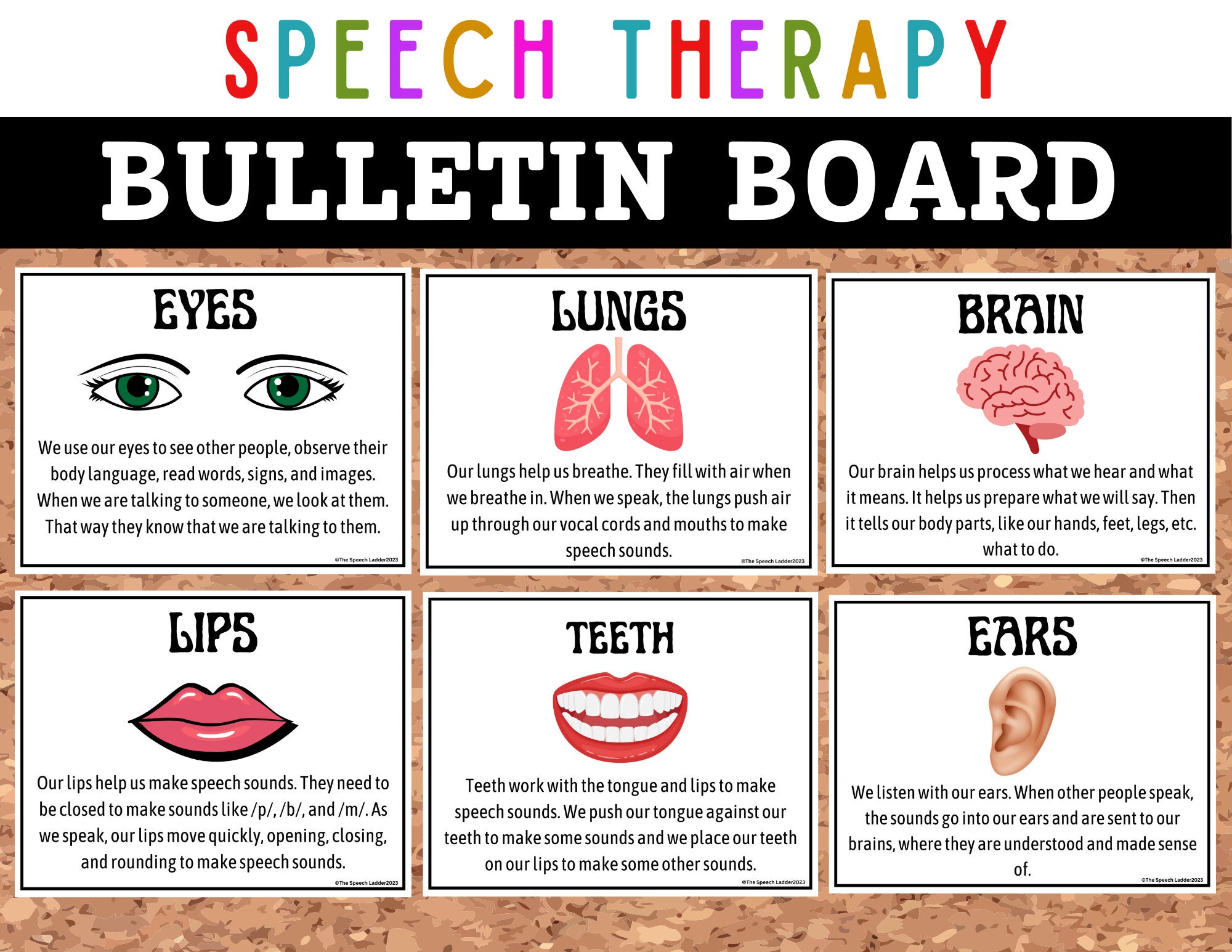 Speech Therapy Bulletin Board Kit, Speech Therapy Classroom, Door Decor ...