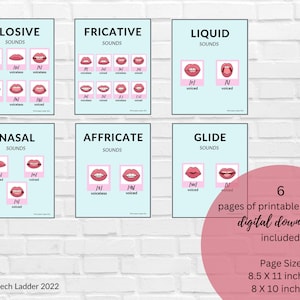 Speech Therapy Poster, Manner of Articulation, Speech Room Decor ...