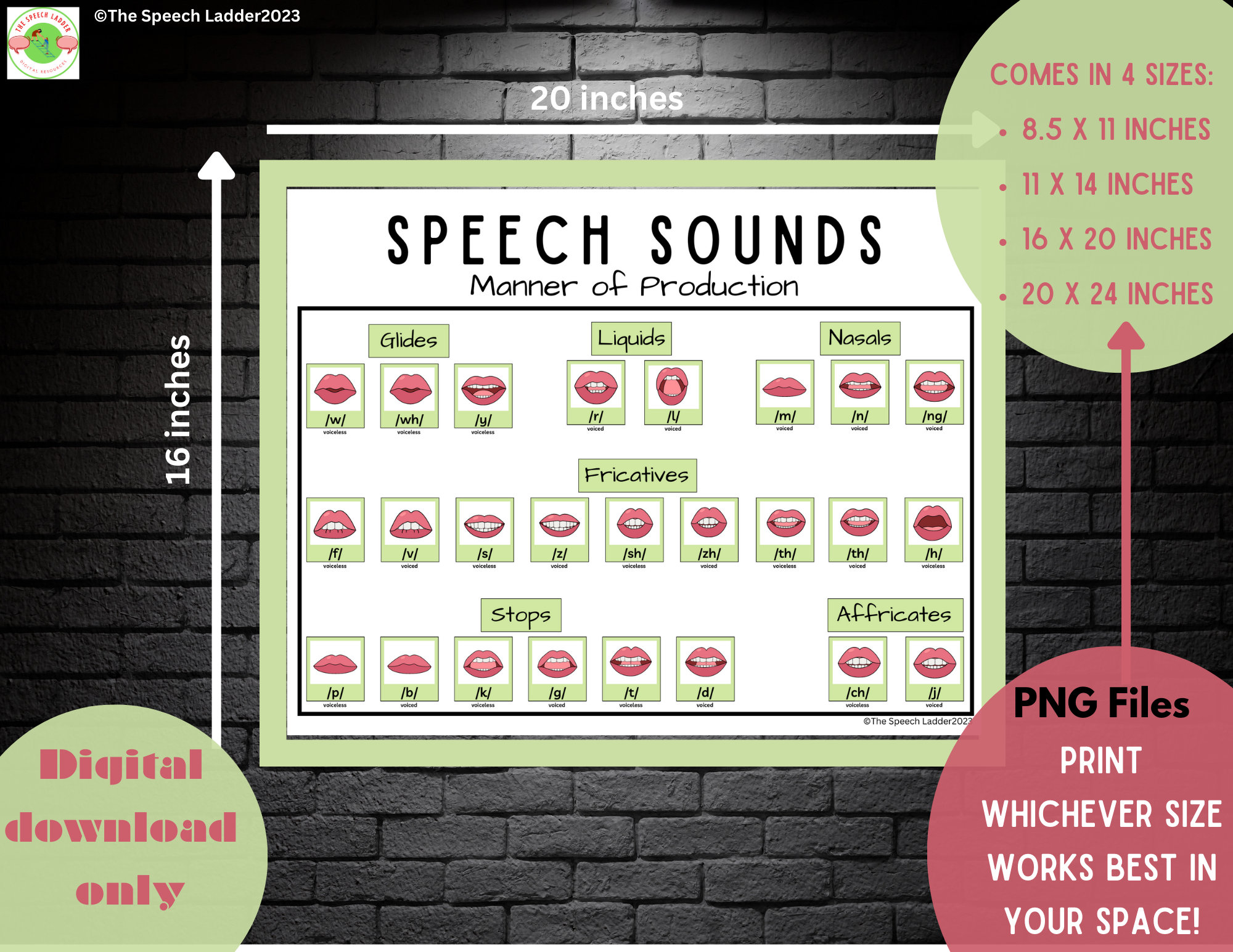 Large Speech Sounds Chart Speech Therapy Poster Articulation - Etsy ...