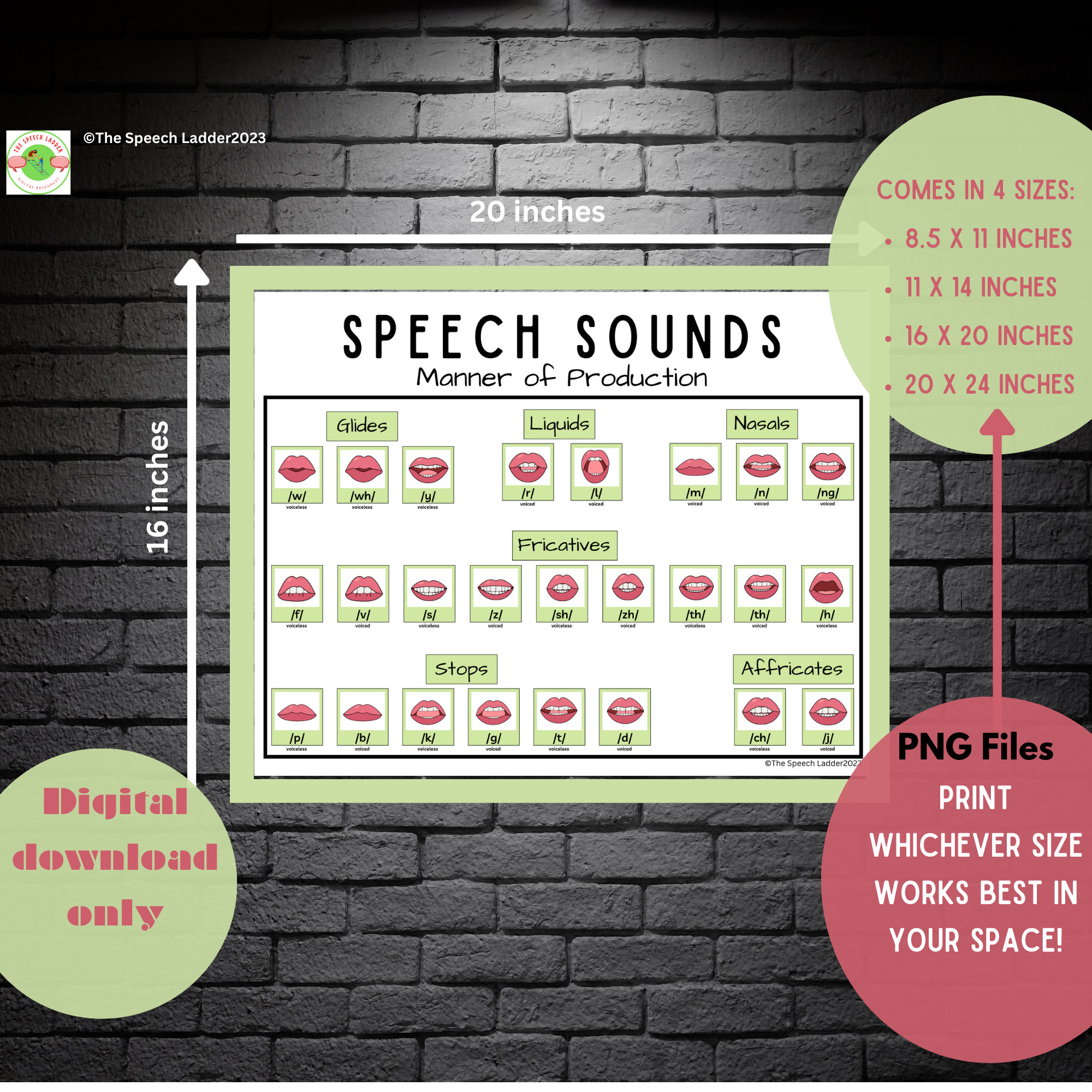 Large Speech Sounds Chart, Speech Therapy Poster, Articulation Resource ...