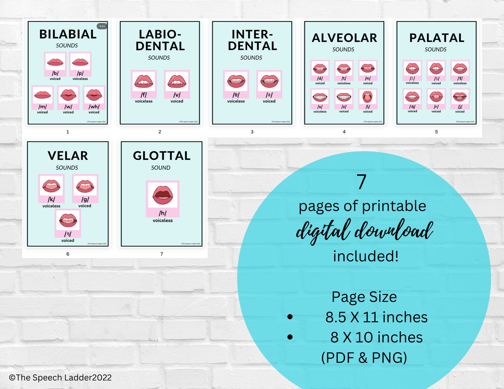 Speech Therapy Poster, Place of Articulation, Speech Room Decor, Speech ...
