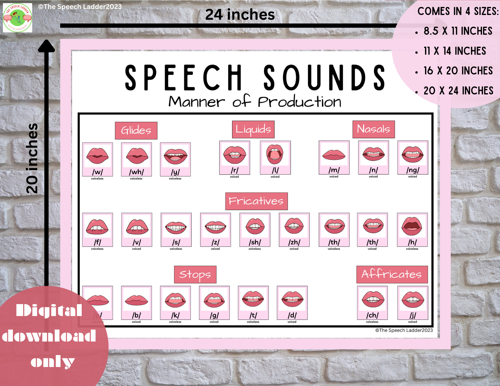 Large Speech Sounds Chart Speech Therapy Poster Articulation - Etsy UK