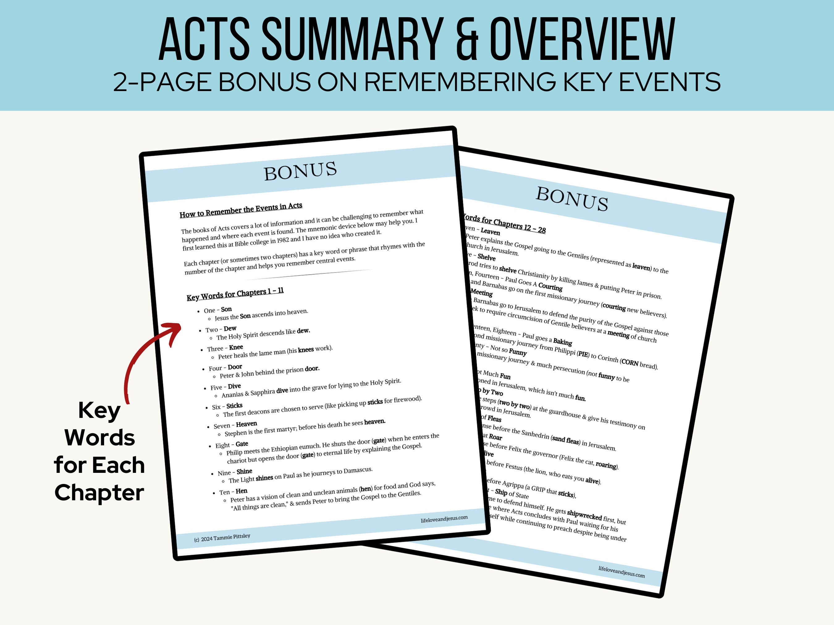 Acts Bible Study Guide New Testament Resource Book Overviews Beginner ...