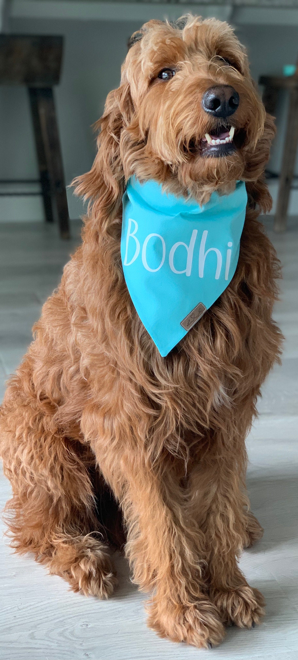 Dog Bandana, Over the Collar Dog Bandana, Personalized Dog Bandana ...